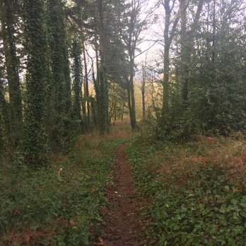 Kelly Butte Natural Area - 18 Photos - Parks - 2960 SE 103rd Ave ...