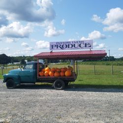 Parsons Farms Produce - Farmers Market - 30381 Armory Rd, Dagsboro, DE ...