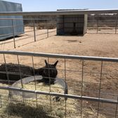 Forever Wild Exotic Animal Sanctuary - 414 Photos & 219 Reviews - Zoos ...