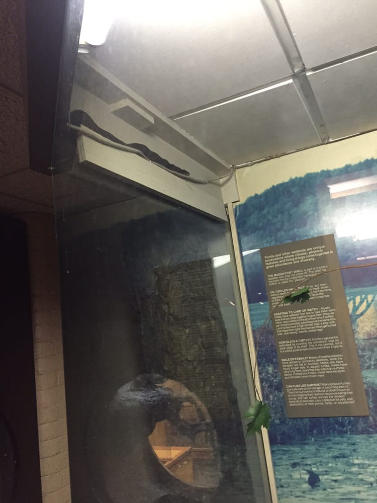 Springfield Science Museum - 30 Photos - Museums - 220 State St ...