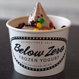 Below Zero Frozen Yogurt - Ice Cream & Frozen Yogurt - 45 Washington ...