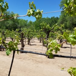 ABQ BioPark Botanic Garden - 350 Photos & 74 Reviews - Botanical ...