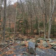 Spruce Lake Retreat - 61 Photos - Venues & Event Spaces - 5389 Rt 447 ...