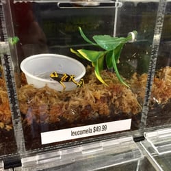 Pet Bazaar - 14 Photos & 21 Reviews - Pet Stores - 490 State Rd 436 ...