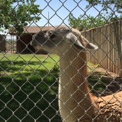 Alameda Park Zoo - 2019 All You Need to Know BEFORE You Go (with Photos ...