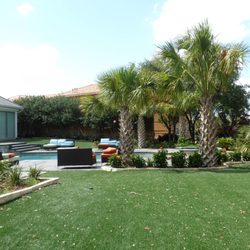 Texas Palm Trees and Irrigation - Nurseries & Gardening - 7807 E R L ...