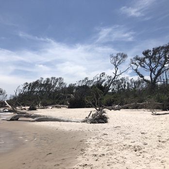 Big Talbot Island State Park - 2019 All You Need to Know BEFORE You Go ...