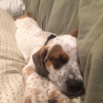 Operation Kindness - 2019 All You Need to Know BEFORE You Go (with ...