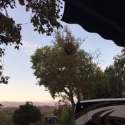 Canyon Rv Park - 27 Photos & 59 Reviews - RV Parks - 24001 Santa Ana ...