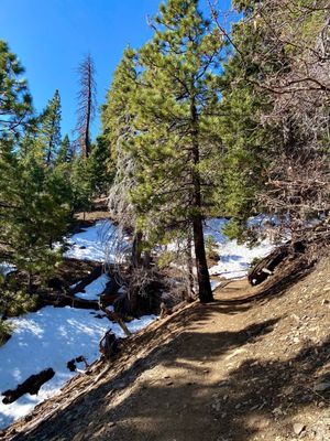 Wrightwood, CA Map & Directions - MapQuest