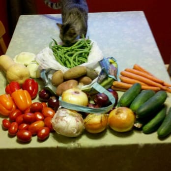 Miller Farms - 43 Photos & 37 Reviews - Farmers Market - 9040 Hwy 66 ...