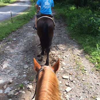 Mountain Creek Riding Stables - 42 Photos & 42 Reviews - Horseback ...