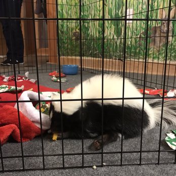 Wildlife In Need Center - Animal Shelters - W349S1480 S Waterville Rd ...