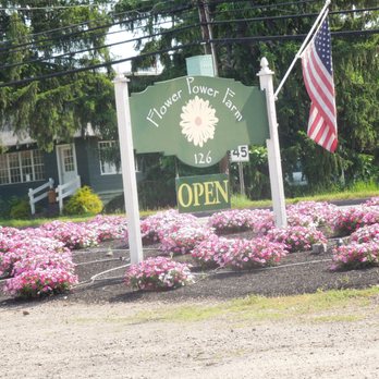 Flower Power Farm - 51 Photos & 12 Reviews - Nurseries & Gardening ...