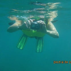 Rincon Diving & Snorkeling - 23 Photos & 15 Reviews - Free Diving - Av ...