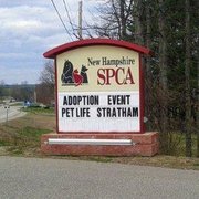 New Hampshire SPCA - 19 Reviews - Animal Shelters - 104 Portsmouth Ave ...
