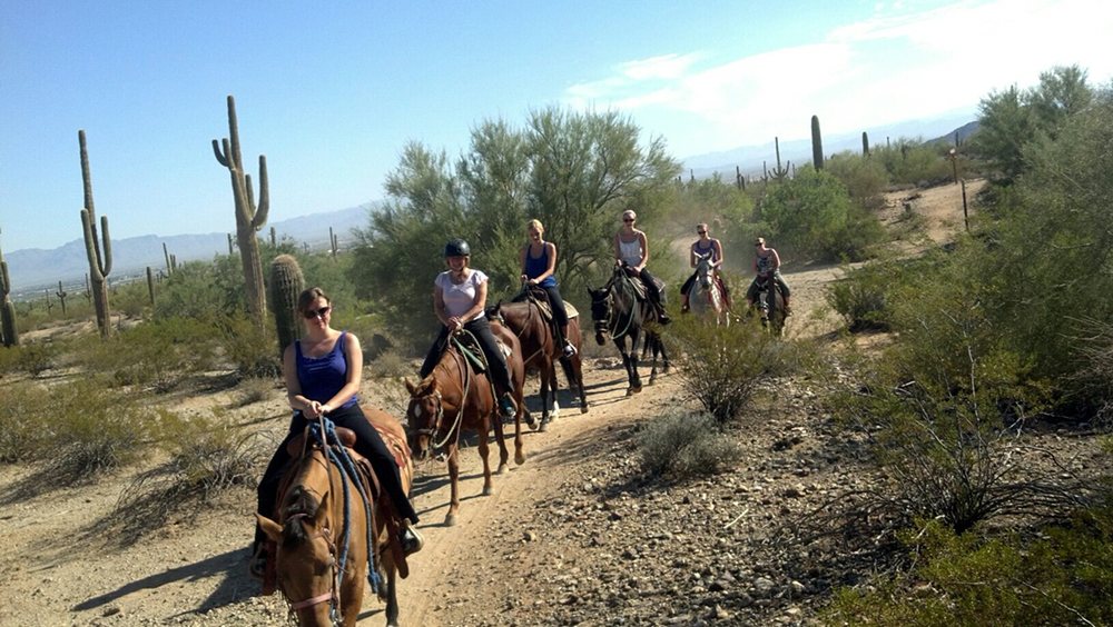 MD Ranch - 11 Photos & 12 Reviews - Horseback Riding - 6533 W Phillips ...