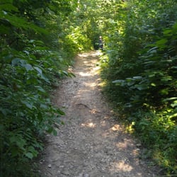 Maple Lake - 22 Photos - Lakes - Willow Springs, IL - Phone Number - Yelp