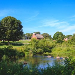 Lockwood Park - 18 Photos - Parks - 5201 Safford Rd,, Rockford, IL ...