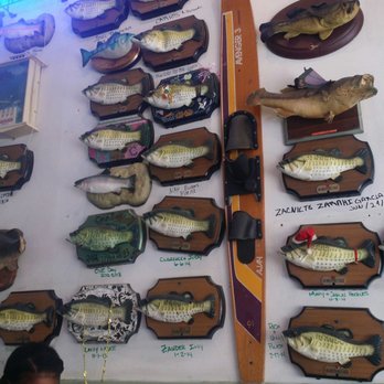 Flying Fish - Last Updated June 2017 - 369 Photos & 382 Reviews ...