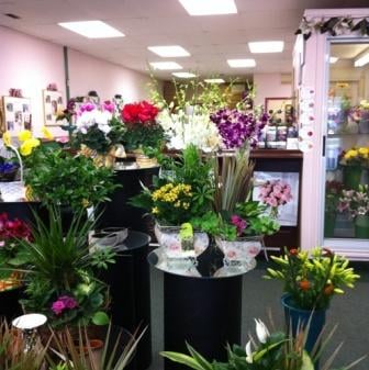 The Brampton Flower Shop - Florists - 35 McMurchy Ave N, Brampton, ON ...