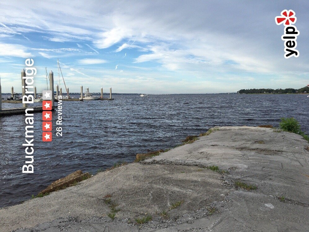 Buckman Bridge - 41 Photos & 26 Reviews - Landmarks & Historical ...