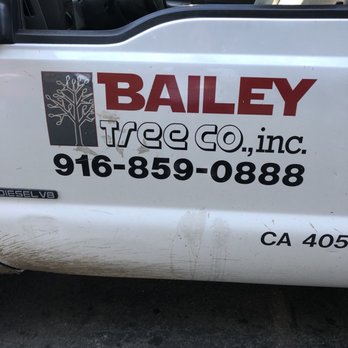 Bailey Tree Company - 72 Photos & 184 Reviews - Tree Services - 2664 Mercantile Dr, Rancho ...
