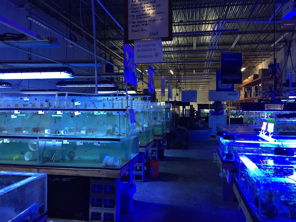 Atlanta Aquarium Gift Cards - Georgia | Giftly