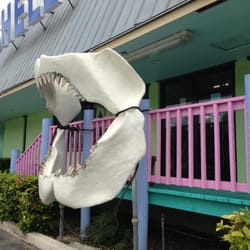 Shell World - 25 Photos & 32 Reviews - Gift Shops - 97600 Overseas Hwy ...