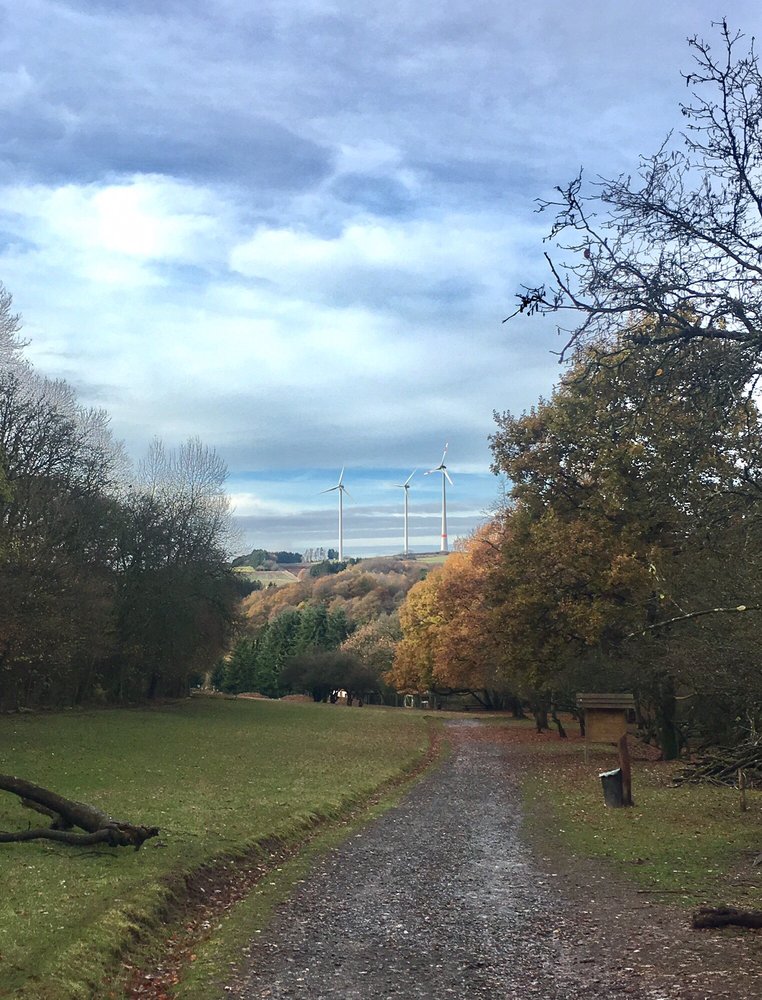 Naturwildpark Freisen - 48 Photos - Zoos - Hermbachhof 1, Freisen ...