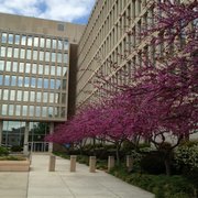 US Office of Personnel Management - 20 Photos - Employment Agencies ...