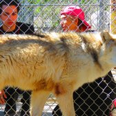 Wolf Mountain Sanctuary - 320 Photos & 117 Reviews - Animal Shelters ...