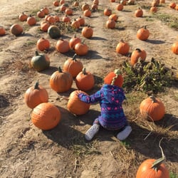 Duffield’s Farm Market - 14 Photos & 22 Reviews - Farmers Market - 280 ...