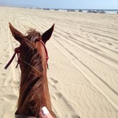 Pacific Dunes Riding Ranch - 70 Photos & 93 Reviews - Horseback Riding ...