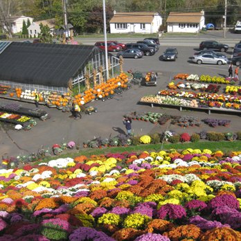 Ott’s Exotic Plants - 122 Photos & 47 Reviews - Nurseries & Gardening ...