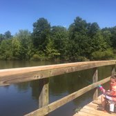 Anne Springs Close Greenway - 135 Photos & 39 Reviews - Hiking - 2573 ...