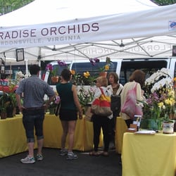 Floradise Orchids - Florists - 19154 James Madison Hwy, Gordonsville ...