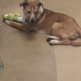 Wisconsin Humane Society - 47 Photos & 49 Reviews - Pet Stores - 4500 W ...