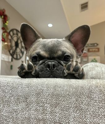 Internal Revenue Service, 1111 Constitution Ave NW, Washington, DC ...