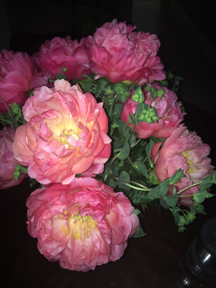 Rouses Flowers New Orleans | Best Flower Site