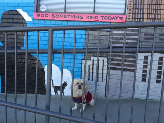 Ice Box Cool Stuff - 700 Lake Ave NE, Inman Park, Atlanta, GA - Phone ...