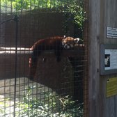 Capron Park Zoo - 2019 All You Need to Know BEFORE You Go (with Photos ...