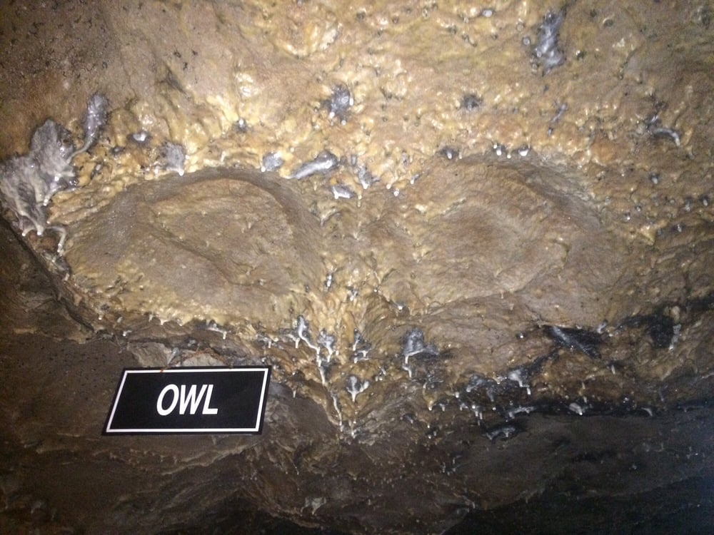 Perry’s Cave - 28 Photos & 19 Reviews - Amusement Parks - 979 Catawba ...