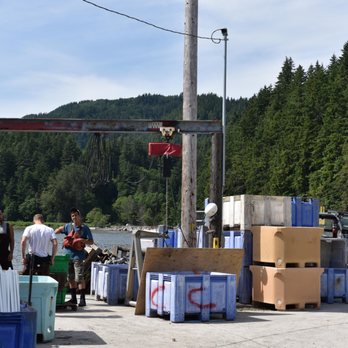 Taylor Shellfish Farms - 301 Photos & 120 Reviews - Seafood Markets ...