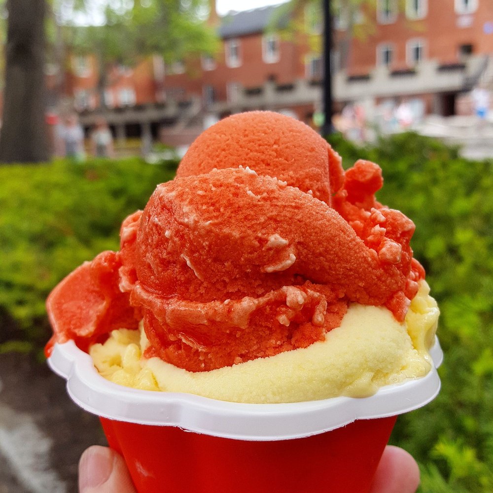 Dolce Freddo Gelato - 14 Photos & 36 Reviews - Ice Cream & Frozen ...