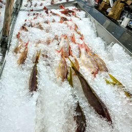 Atlantic Fish Market - 13 Photos - Seafood Markets - 1729 W Oak Ridge ...