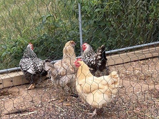 Redgranite, WI Map & Directions - MapQuest