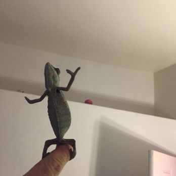 Predator’s Reptile Center - 46 Photos & 65 Reviews - Pet Stores - 1816 ...