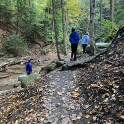 Chestnut Ridge Park - 2019 All You Need to Know BEFORE You Go (with ...