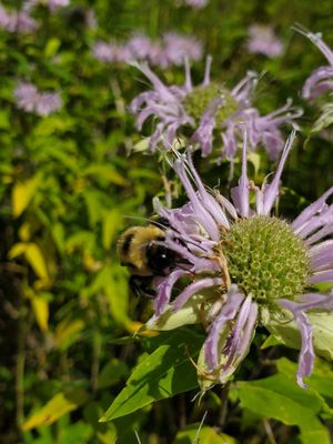 Edwardsburg, MI Map & Directions - MapQuest